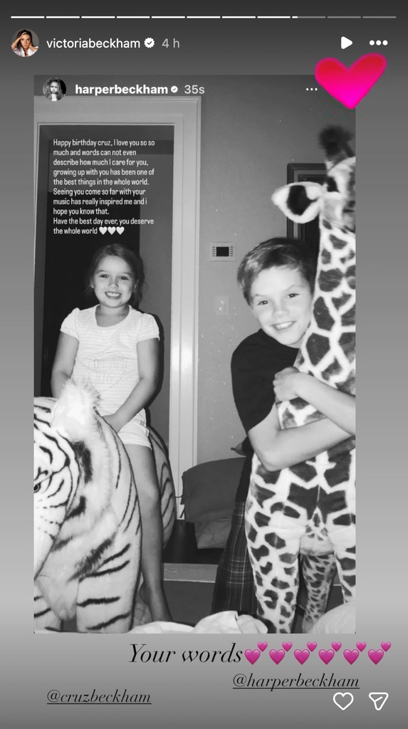 Harper Beckham sends message to 'inspirational' brother on private ...