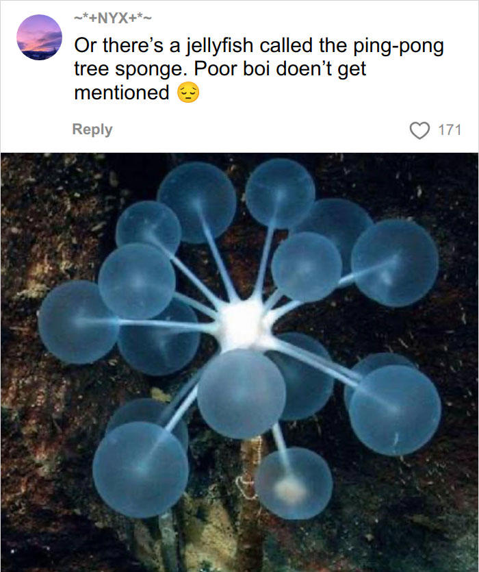 26 animals with names so inappropriate, you might think the scientists ...