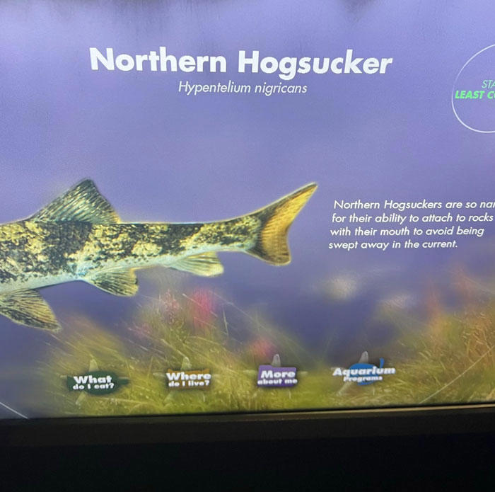 26 animals with names so inappropriate, you might think the scientists ...