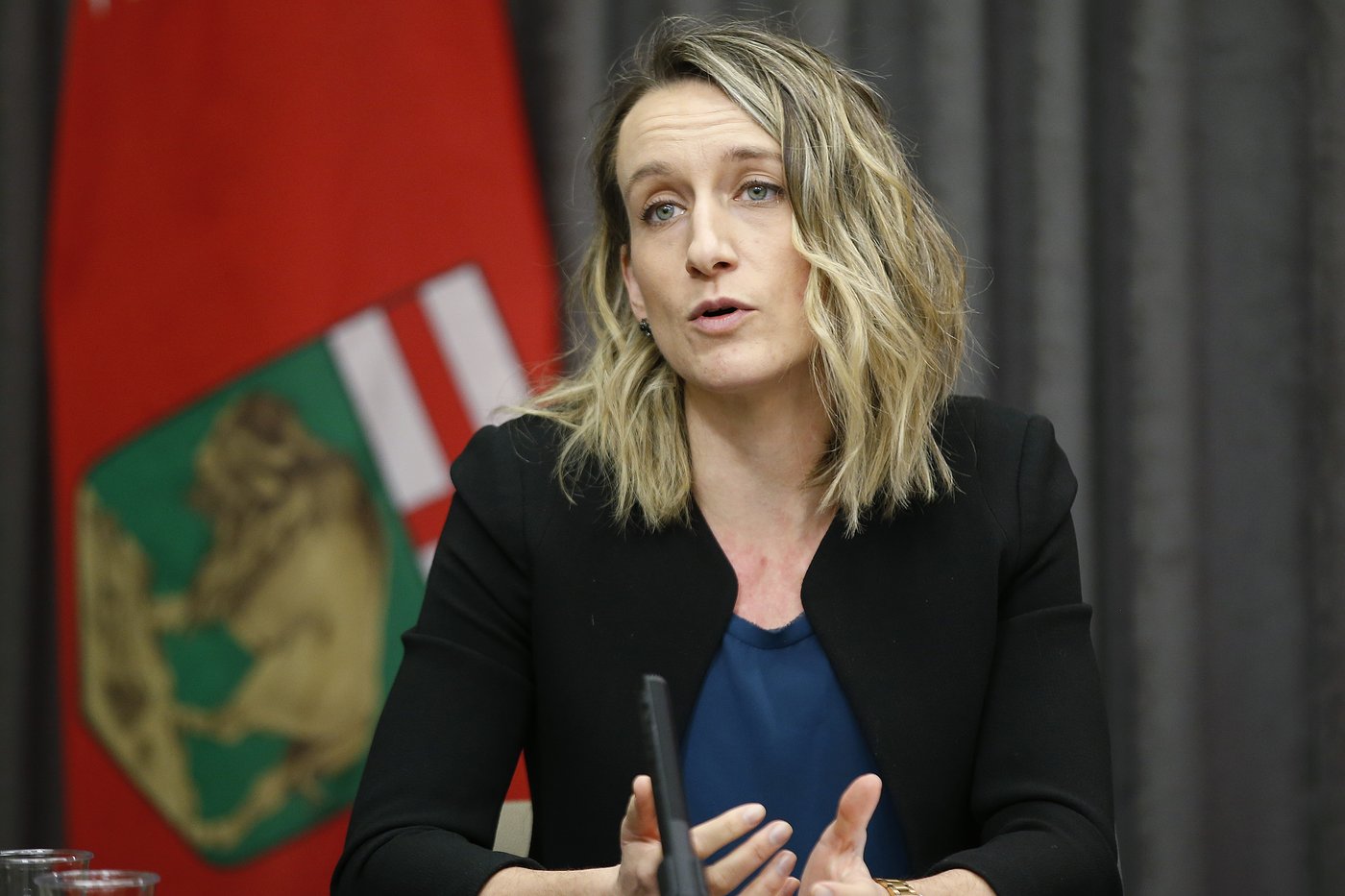 Dr. Joss Reimer says misinformation a key target as she becomes Canada ...