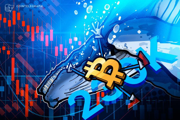 Bitcoin whales participate in V-shaped accumulation, offsetting 230K ...