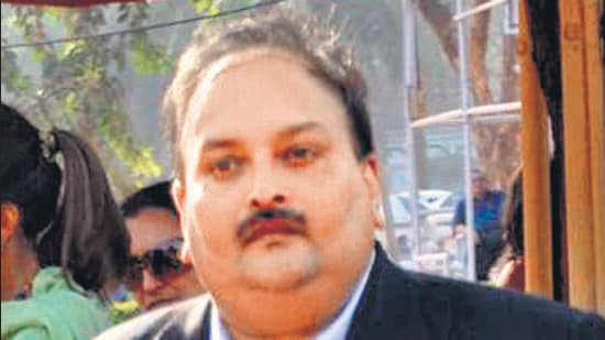ED to file charge sheet against Mehul Choksi’s son, declare him fugitive