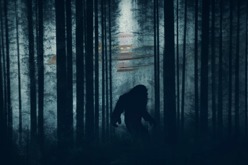 What is a cryptid?