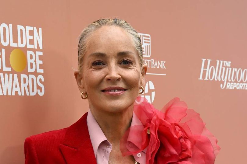 Sharon Stone, 67, shows off ageless beauty as she sports plunging look ...