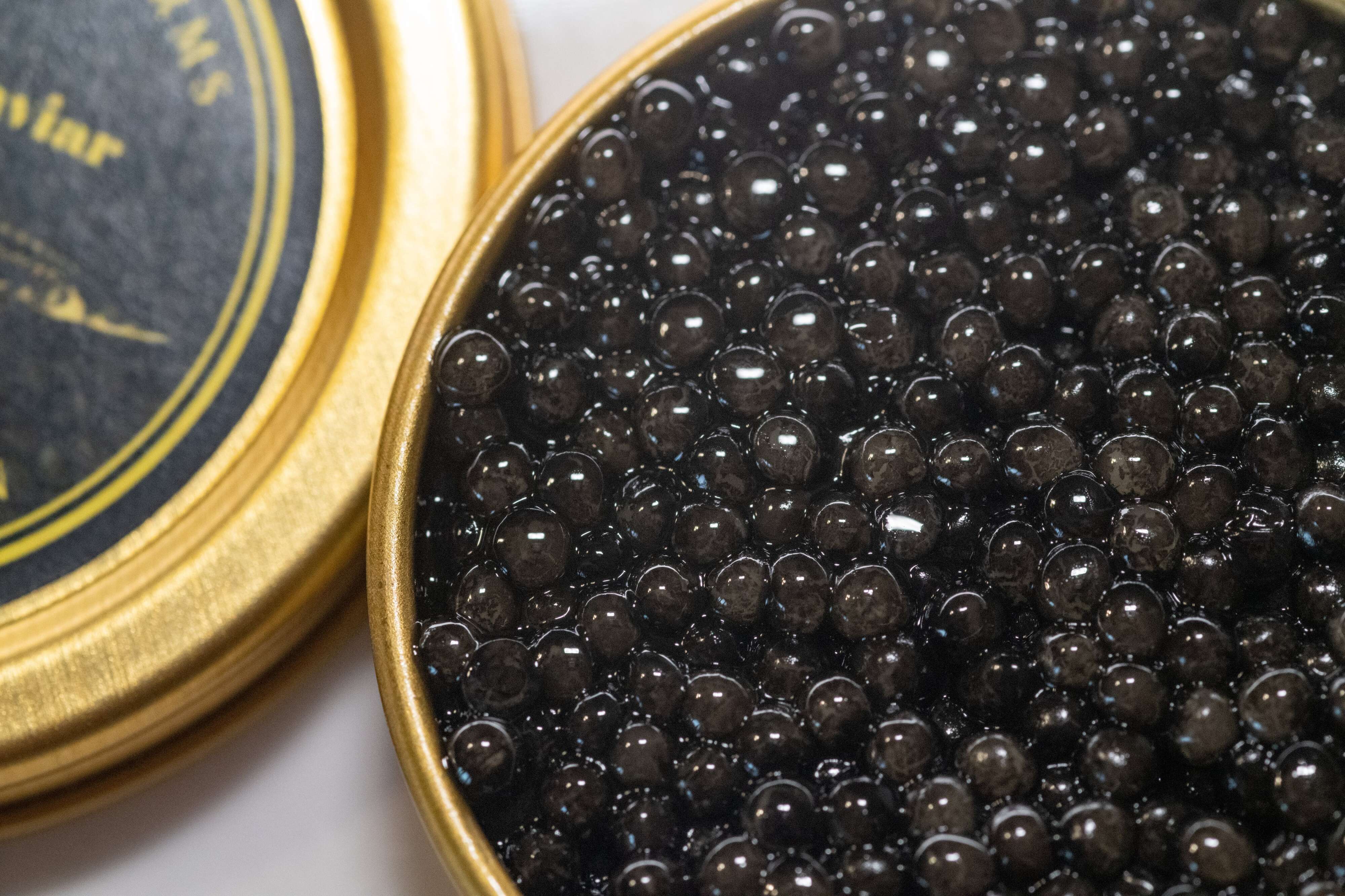 NJ was once the caviar capital of the world. This farm is reviving the ...