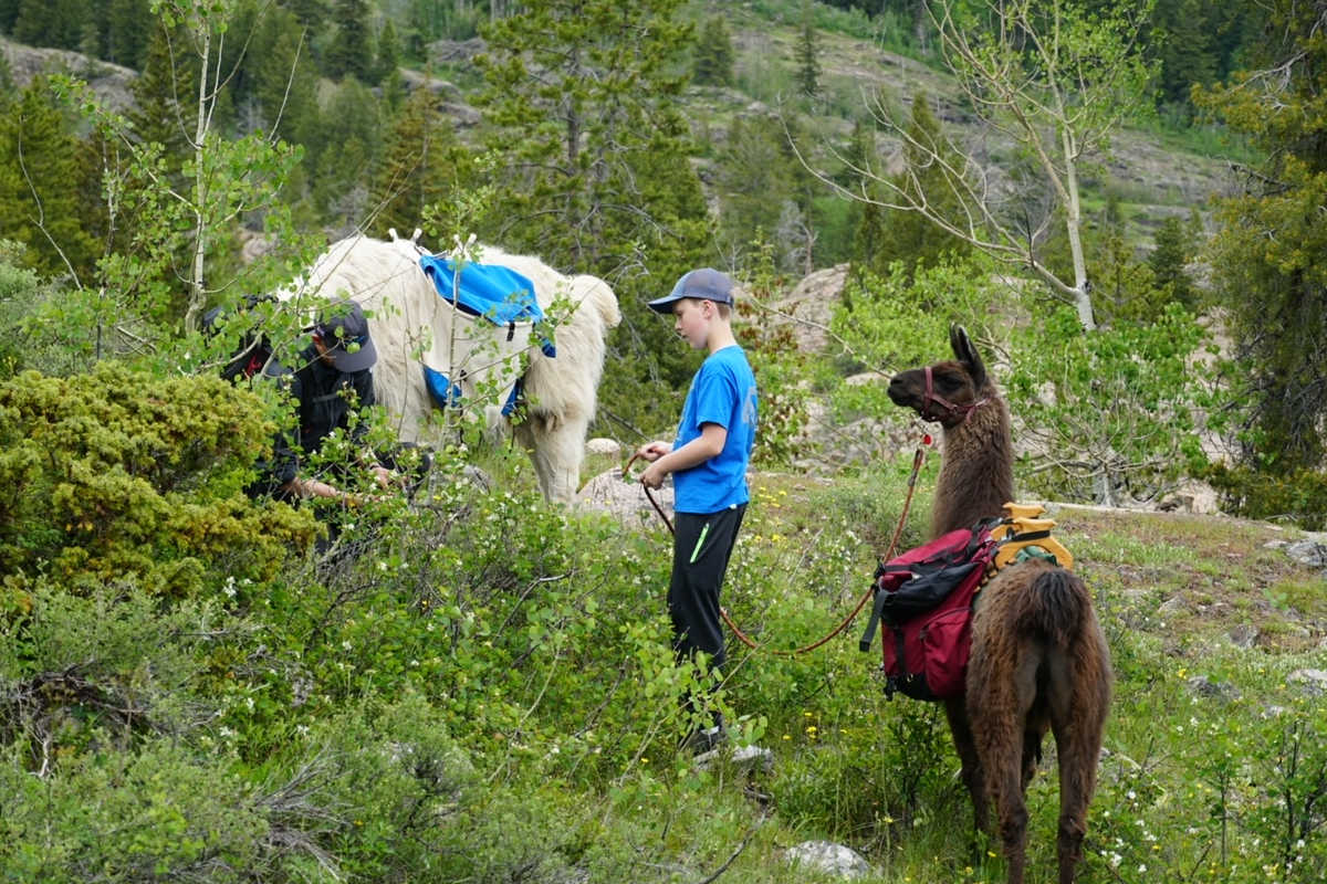 30 best places to travel with kids: Expert tips from parents who've ...
