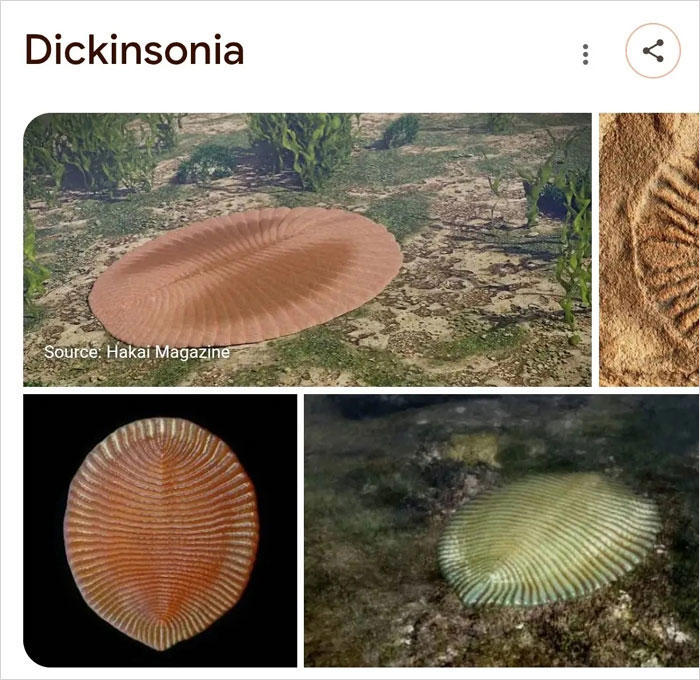 26 animals with names so inappropriate, you might think the scientists ...