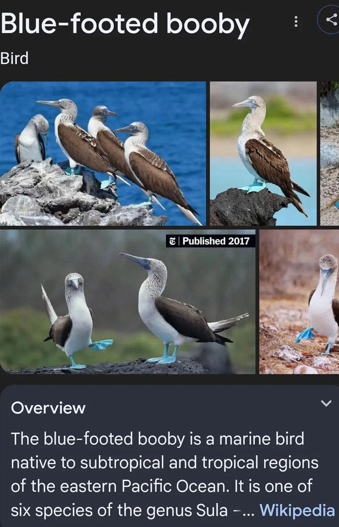 26 animals with names so inappropriate, you might think the scientists ...