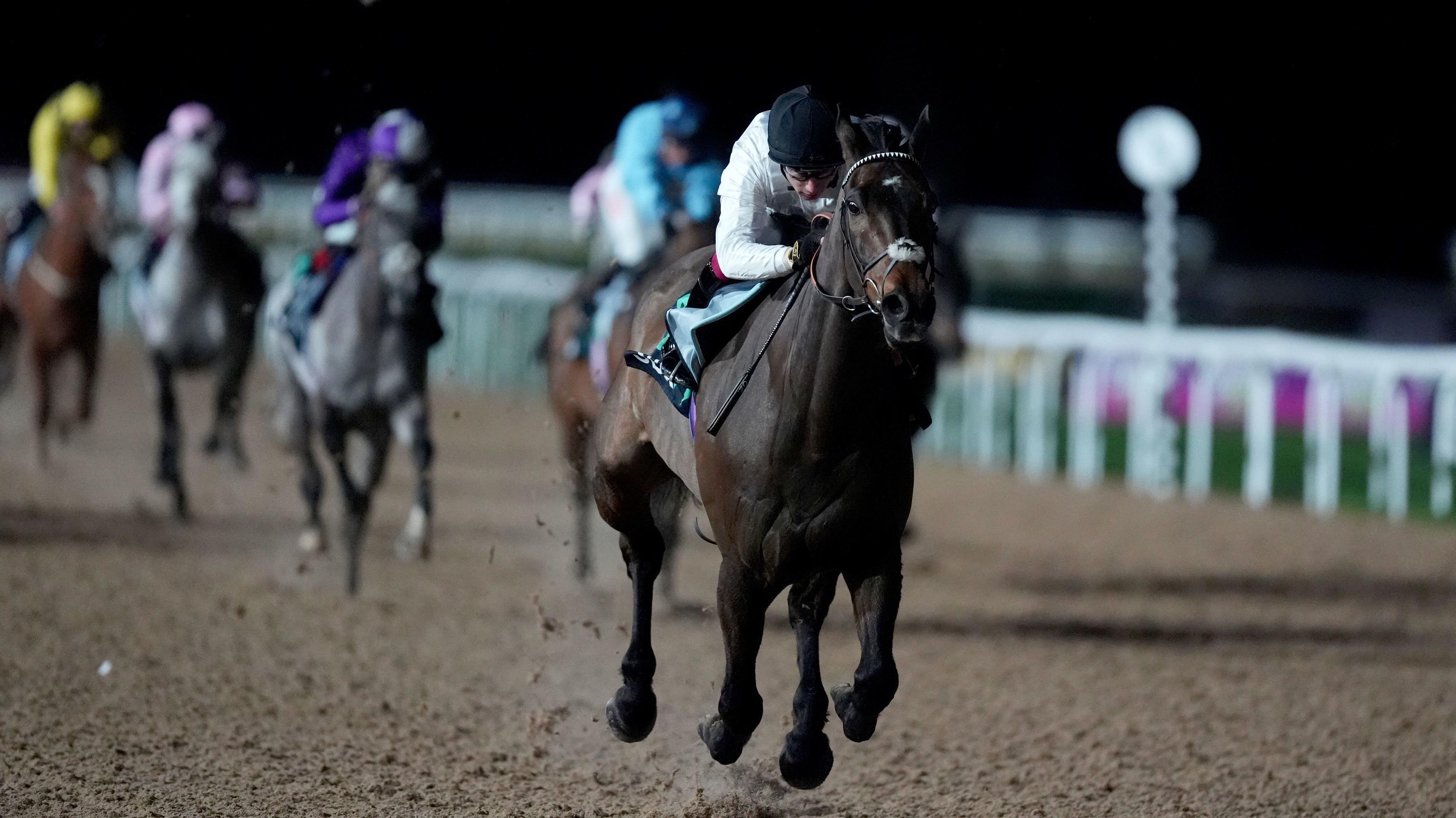 'Like a machine' - Constitution Hill shines on flat debut