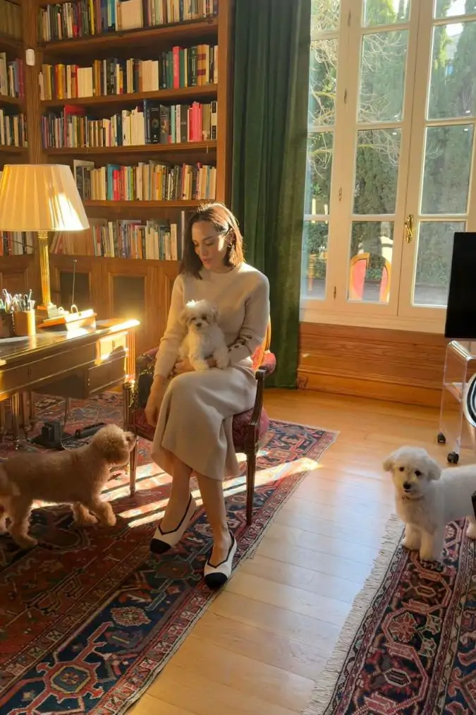 Del gato de Cristiano Ronaldo al caniche de Tamara Falcó: las mascotas ...