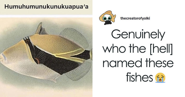26 animals with names so inappropriate, you might think the scientists ...