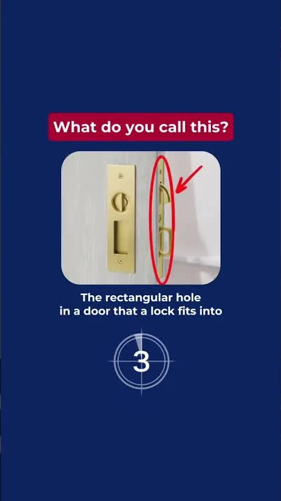 English vocabulary: do you know these words?