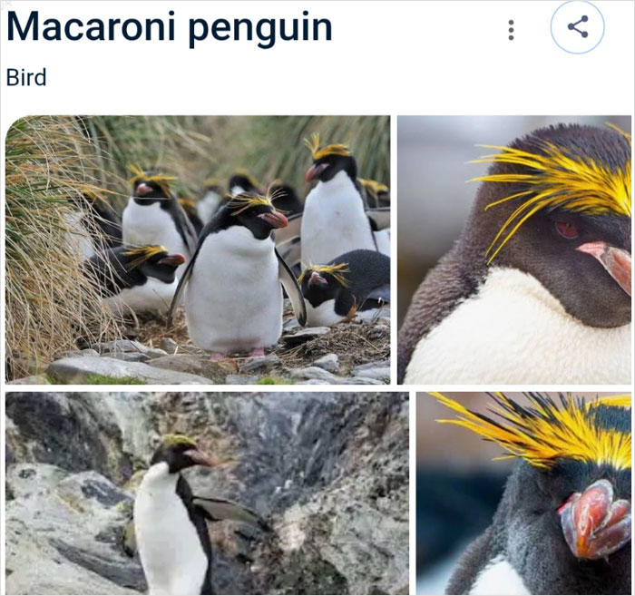 26 animals with names so inappropriate, you might think the scientists ...