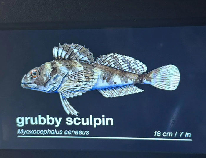 26 animals with names so inappropriate, you might think the scientists ...