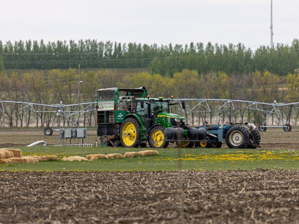 Sask., federal governments continue funding for 2026 crop insurance program