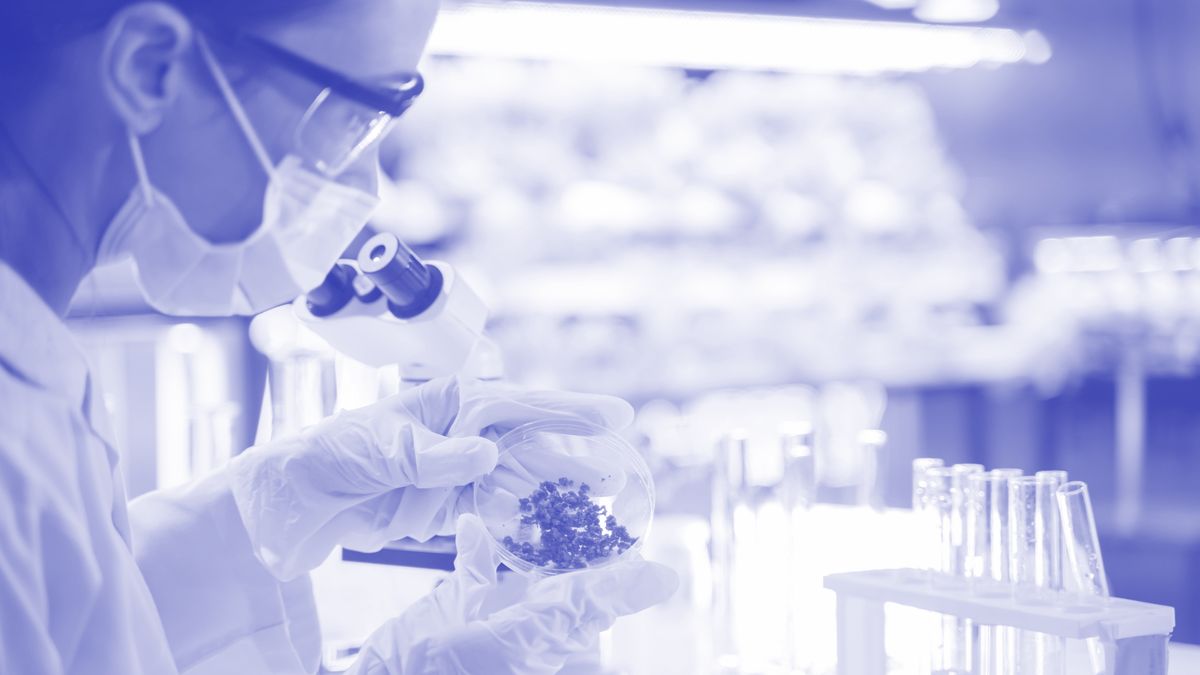 Telix Pharmaceuticals reports $7.5m net loss in 2025