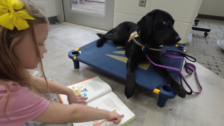 Maumee City Schools adds sixth dog to Panther Paws Program