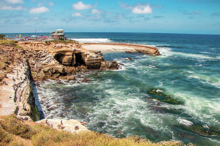 Calif. city brings back controversial tactic to clean up stinky beach