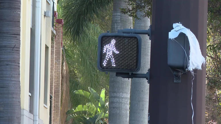 Tampa Bay’s 2026 report card highlights strong jobs, dangerous streets ...