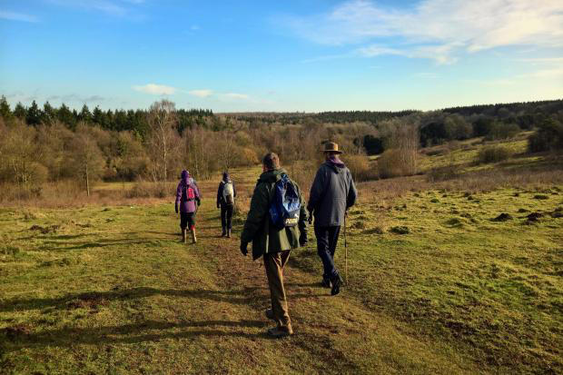 Walk of the week: Fabulous Farley Mount with the Ramblers’ Association