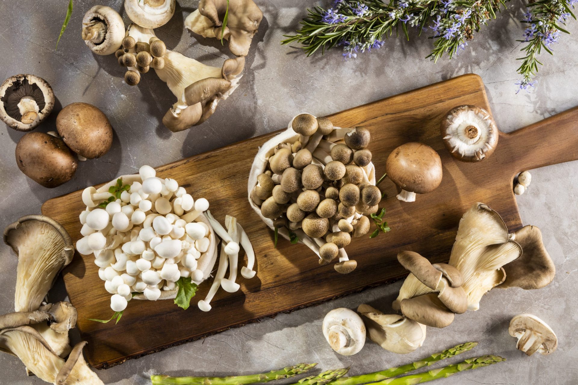A delicious look inside the world of Japanese mushrooms