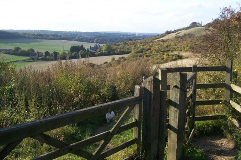 The peaceful Kent reserve home to supersized snails and flowers that ...