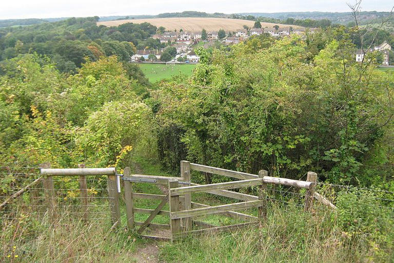 The peaceful Kent reserve home to supersized snails and flowers that ...