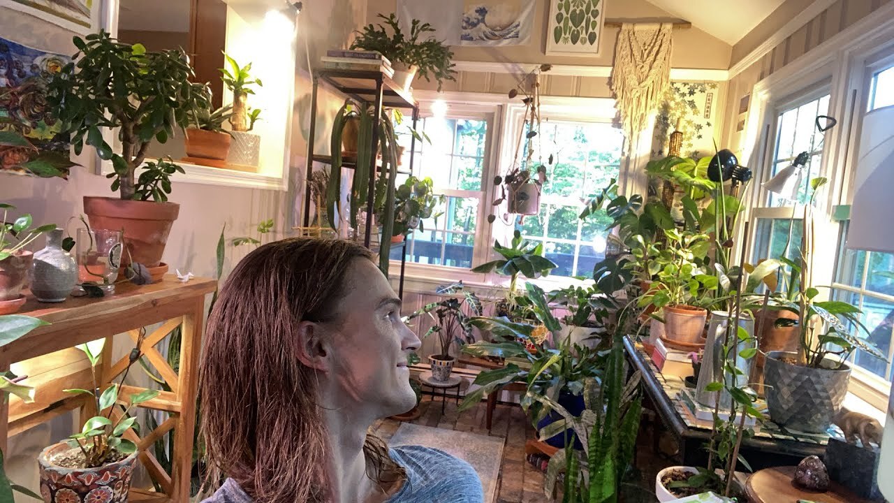 Houseplant garden “finished” #houseplants #urbanjungle #indoorgarden