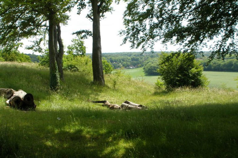 The peaceful Kent reserve home to supersized snails and flowers that ...