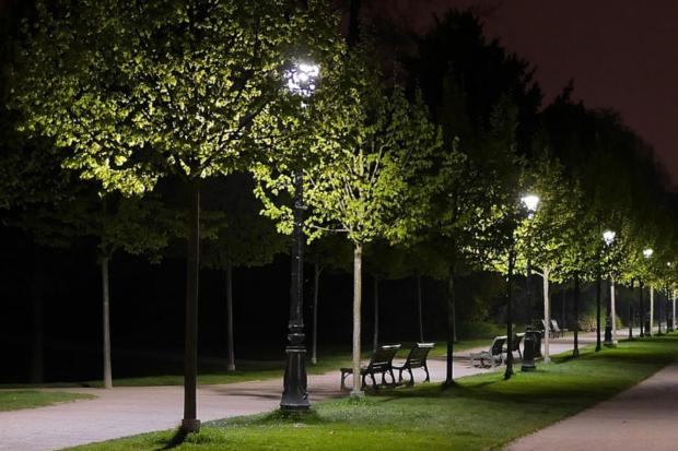 Council exploring lighting opportunities for city's parks and greenspaces