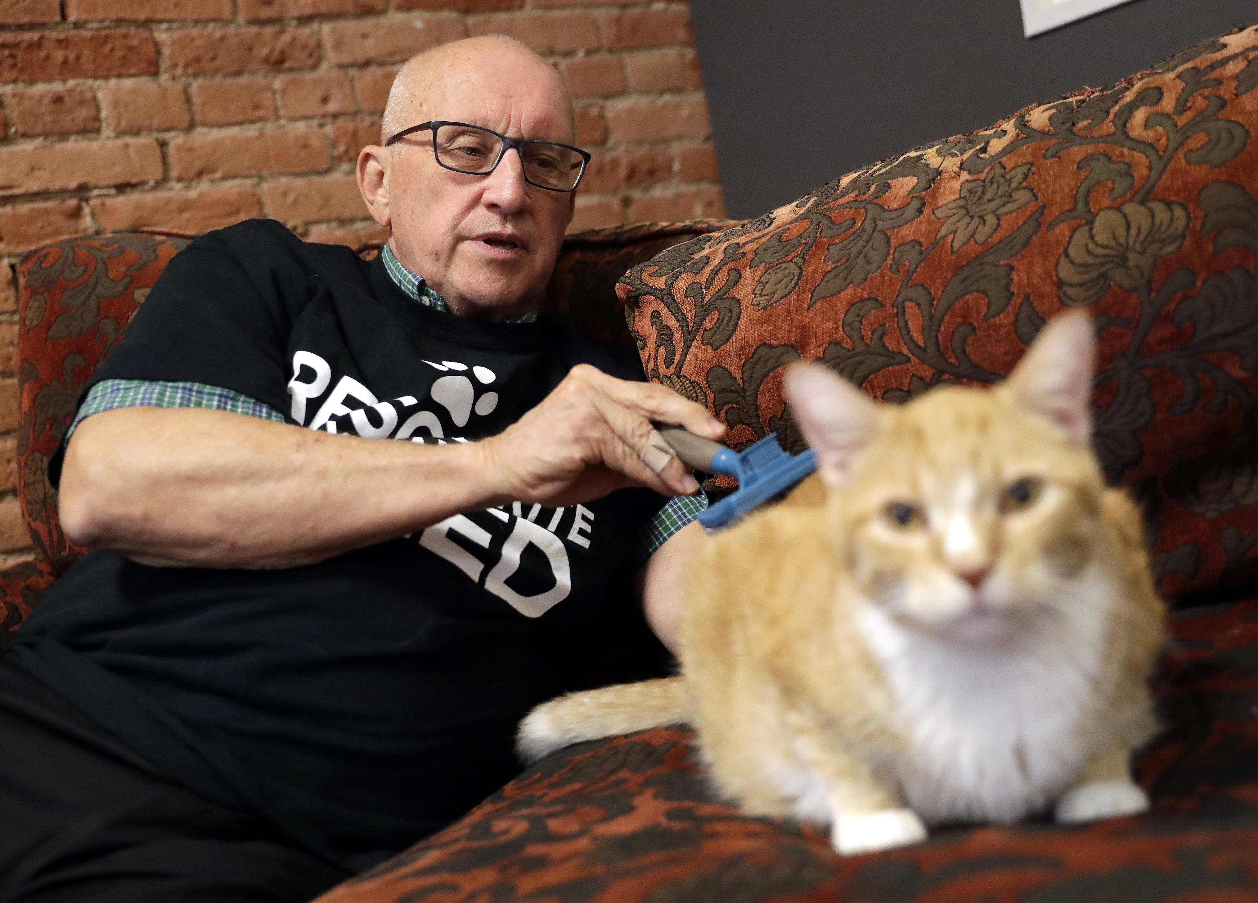 CBS News checks back in on Safe Haven's 'Cat Grandpa' 6 years later