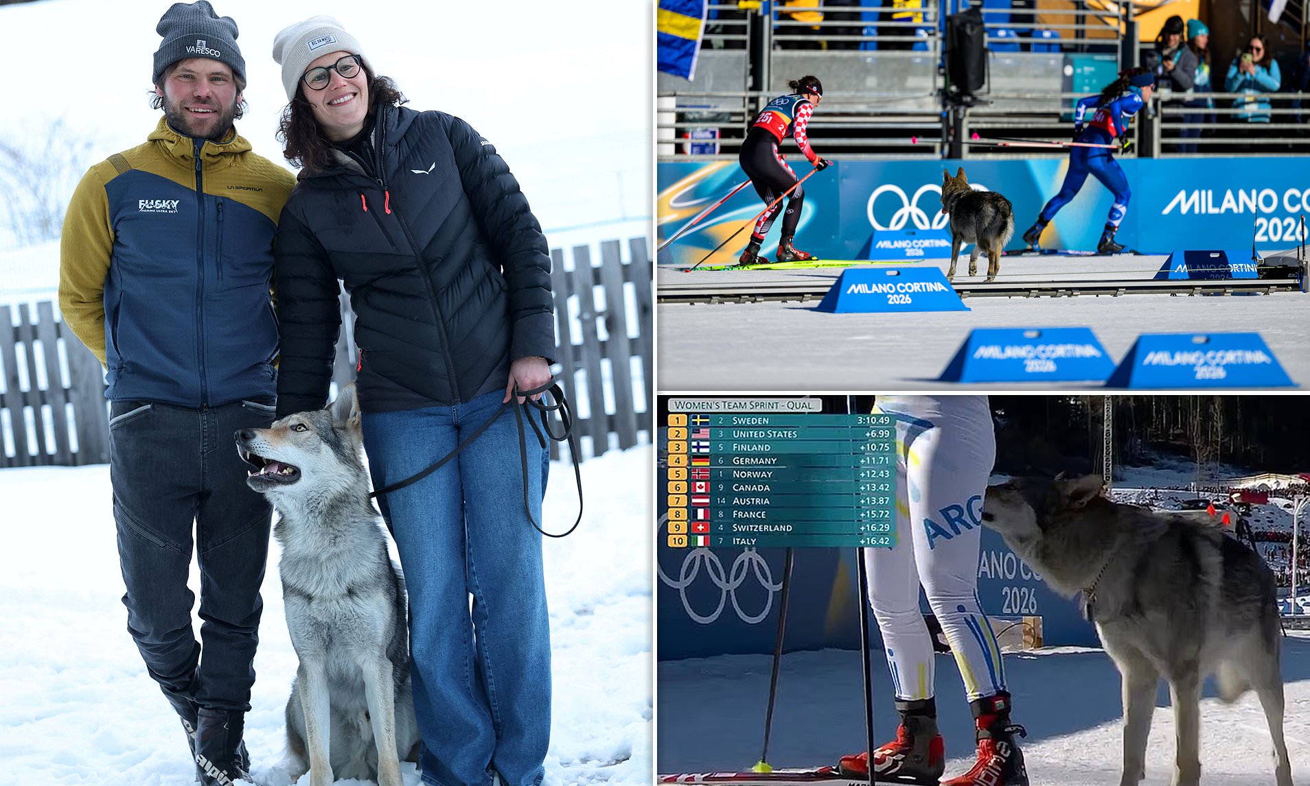 Owner only realised her dog had gatecrashed Winter Olympics when she ...