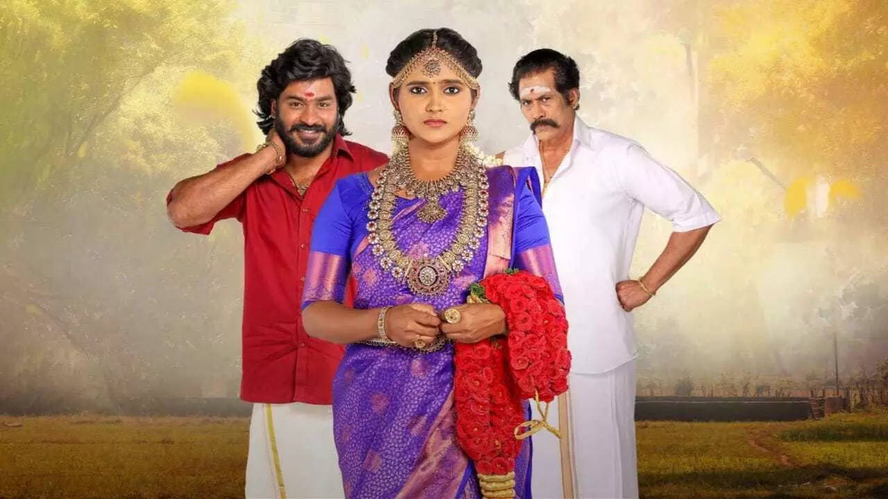 Chinna Marumagal: Everything about the family drama starring Navin ...