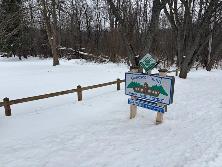 Along 4 the Hike: Genesee County Park and Forest