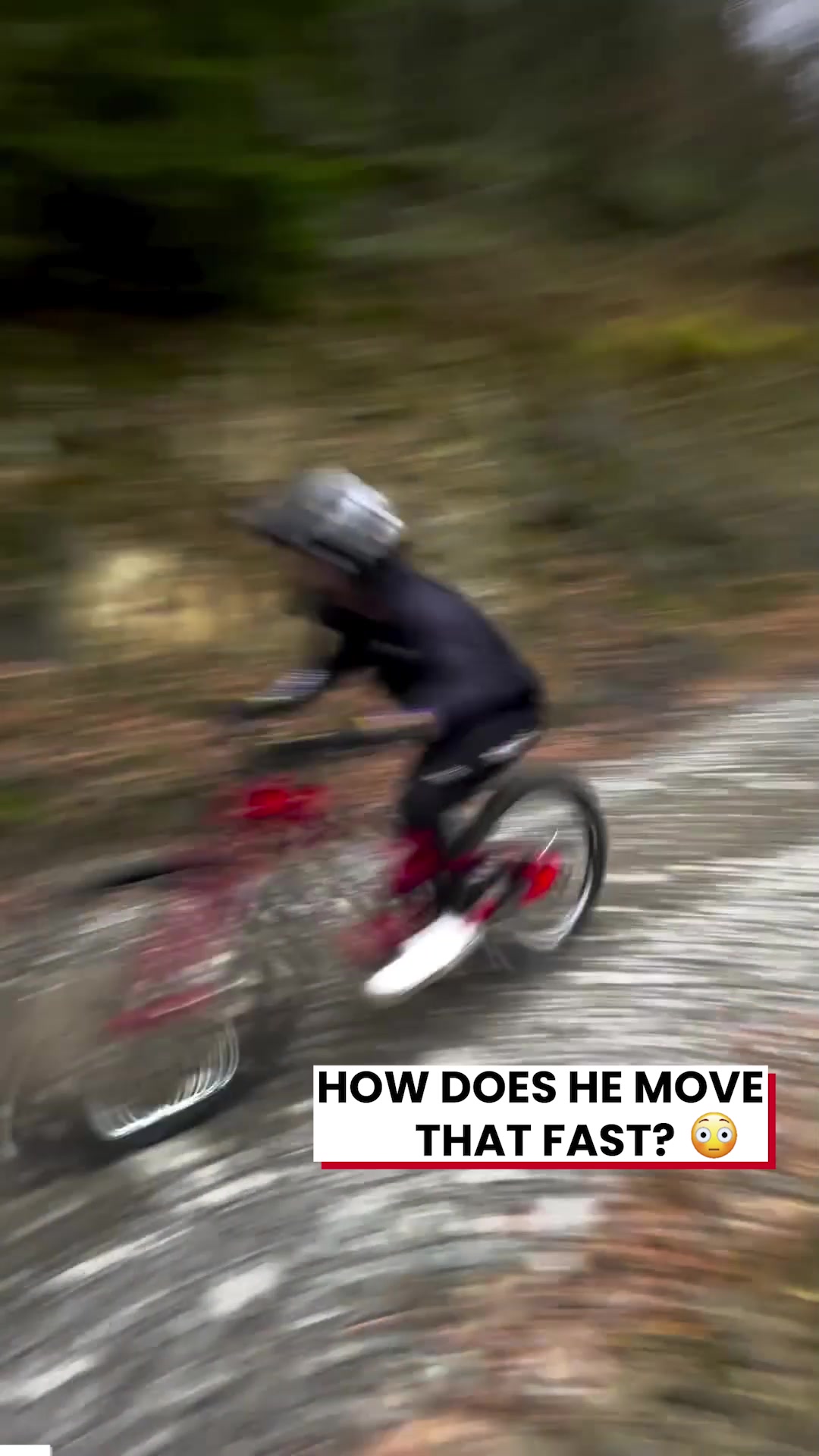 Conquer the trail: Reece Wilson's thrilling MTB journey through Wales!