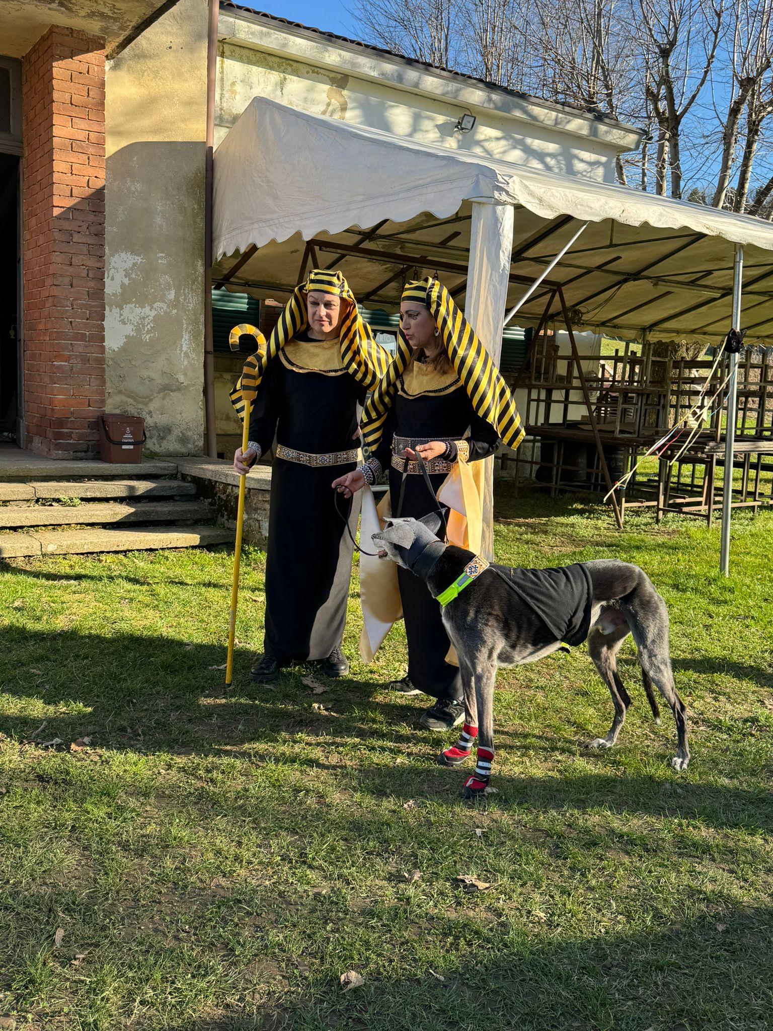 Sfilata di Carnevale a quattro zampe, cani in maschera a Capronno: “Un ...