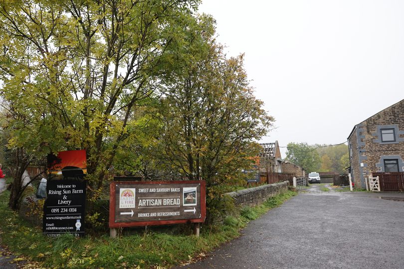 Fresh hope for North Tyneside community farm with process to appoint ...