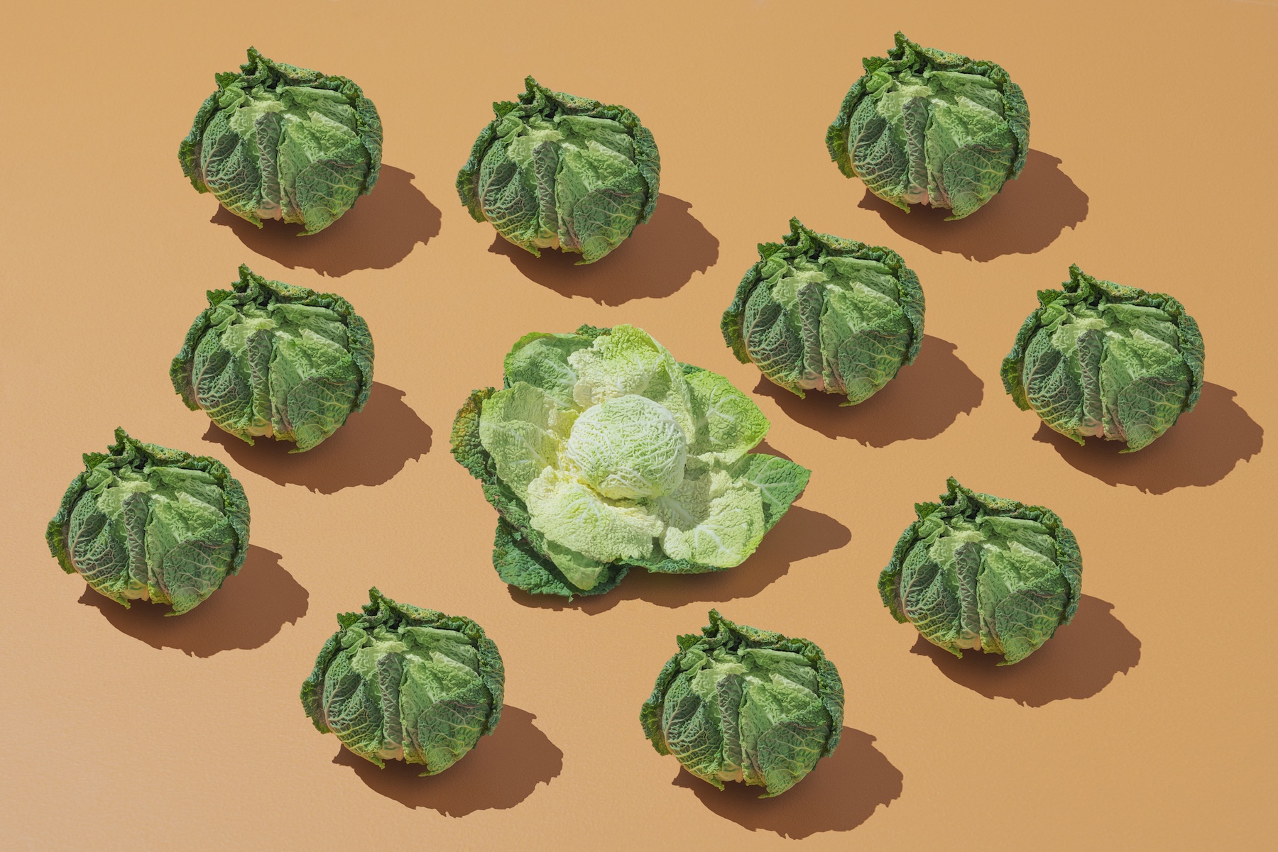 Cabbages are everywhere — here’s why it’s more than a trend
