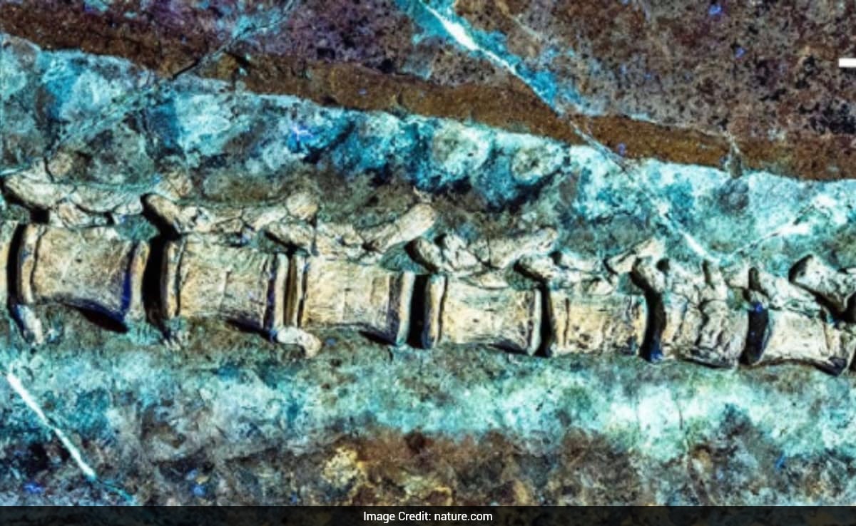 Scientists find dinosaur covered in hollow porcupine-like spikes likely ...