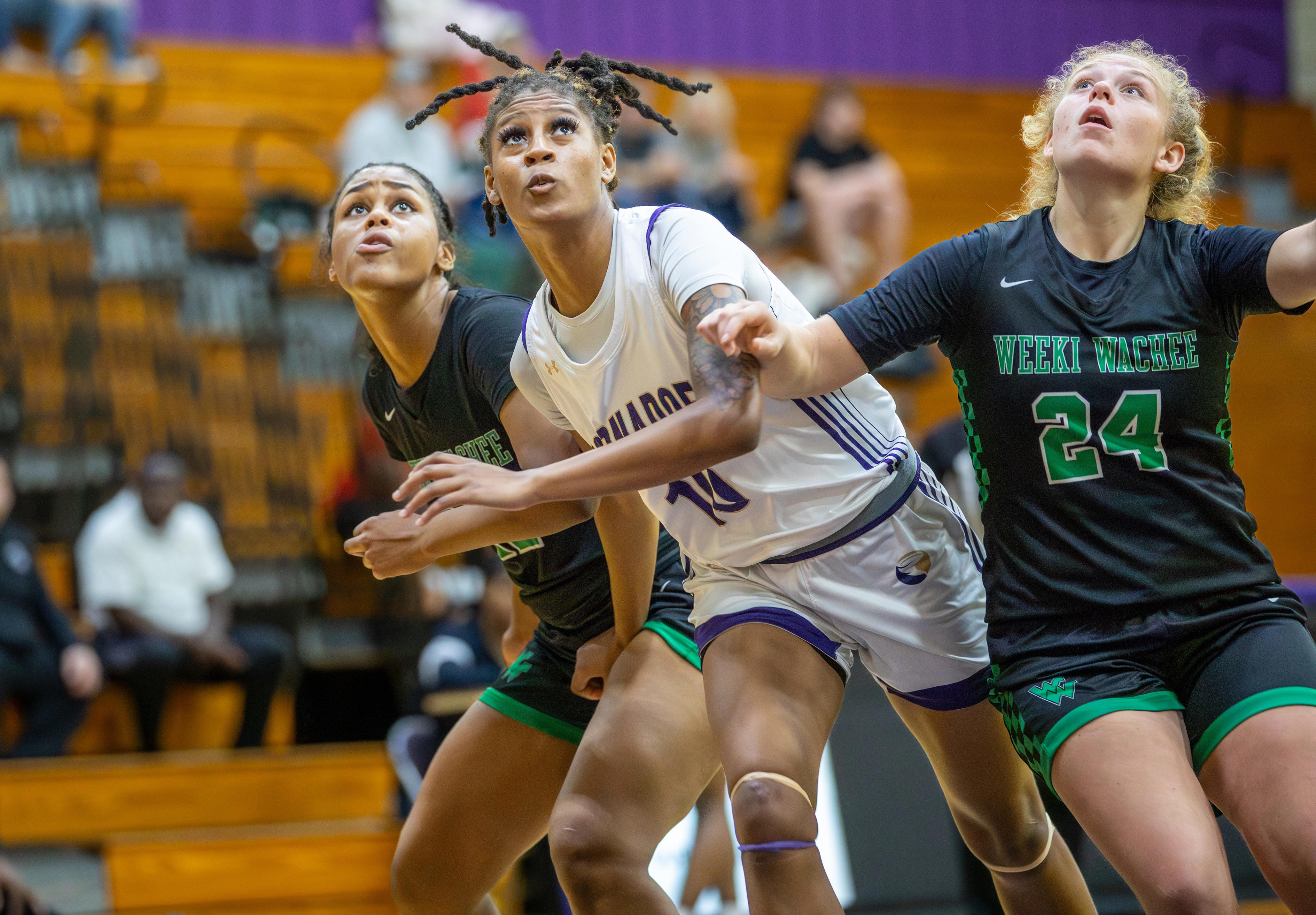 High school: Parrish, Sarasota advance in boys basketball regionals