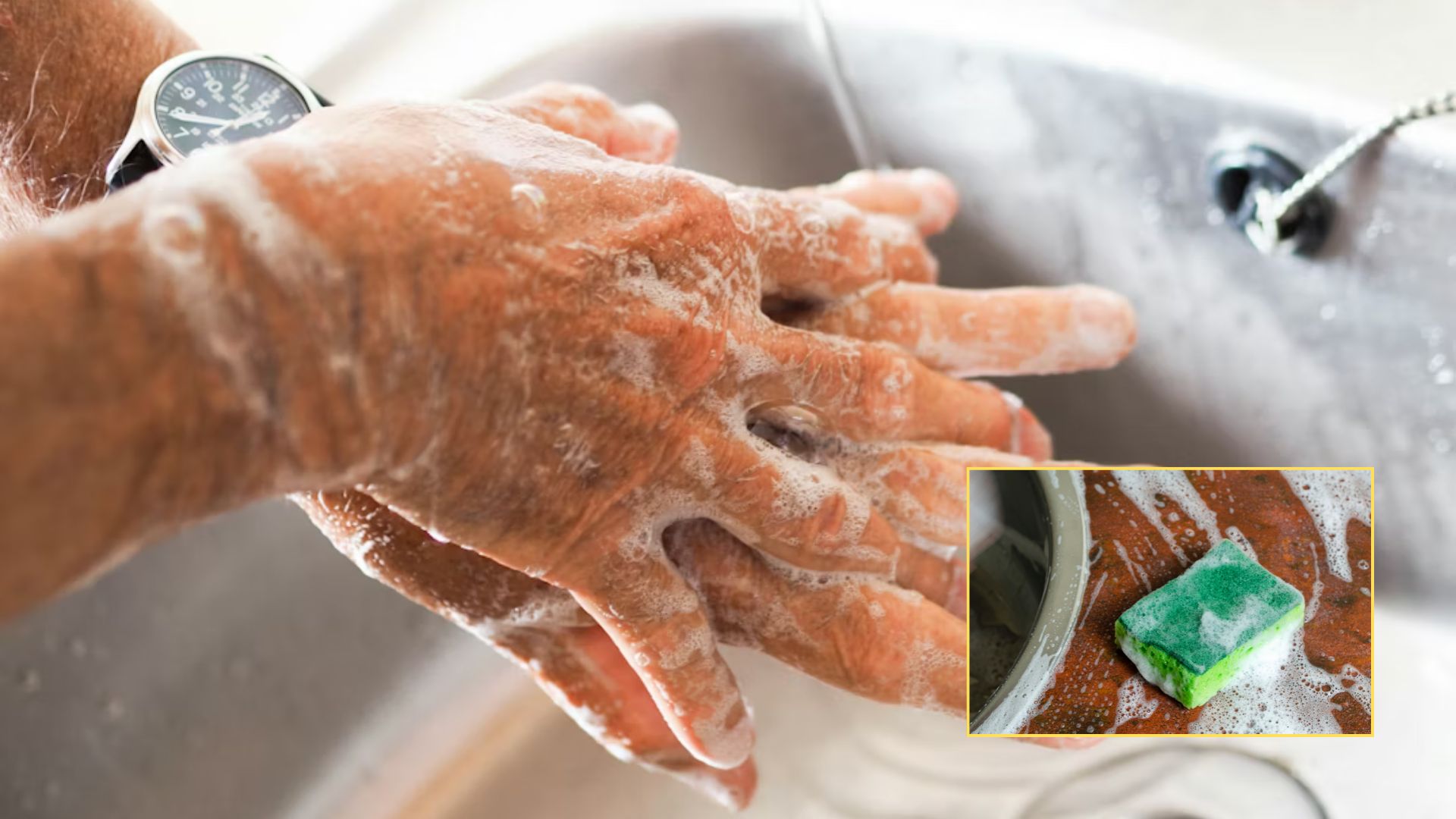 Warning: Wash your hands right away after holding these 10 things