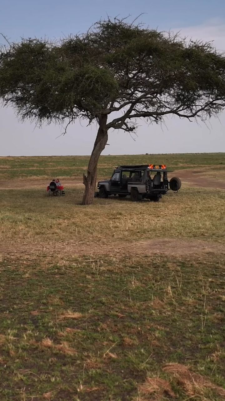 Masai Mara adventure | Discover the magic of Kenya’s iconic safari
