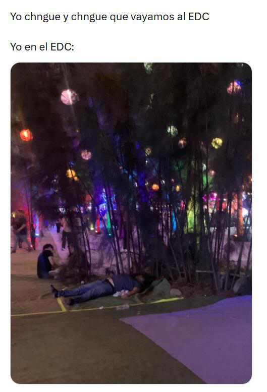 EDC México 2026; los mejores memes que dejó el inicio del festival en ...