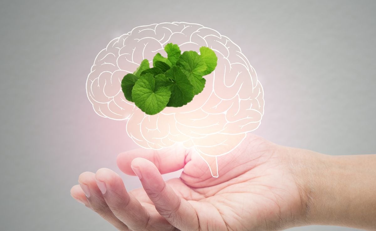 Nutritionist shares how Brahmi promotes calmness, emotional balance ...
