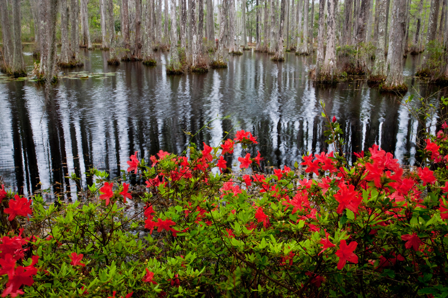 Dream spring break in South Carolina: Where I'd go if money was no object