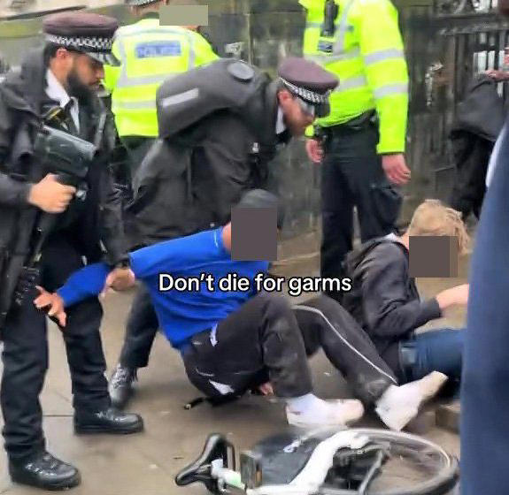Pop-up shop speaks out after hundreds swarm London store and throw ...