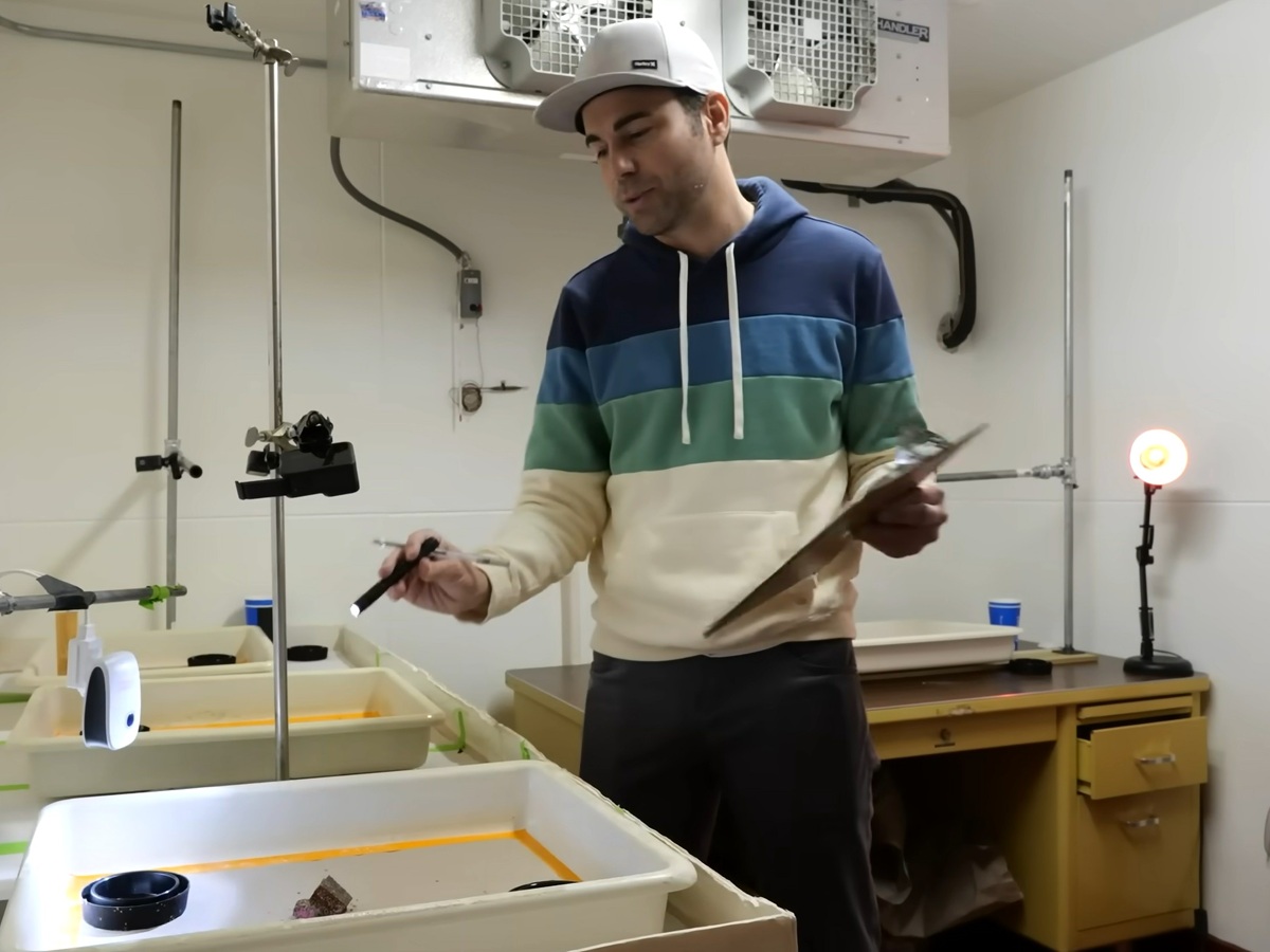 Mark Rober reveals the truth about bed bugs: What travelers have been ...