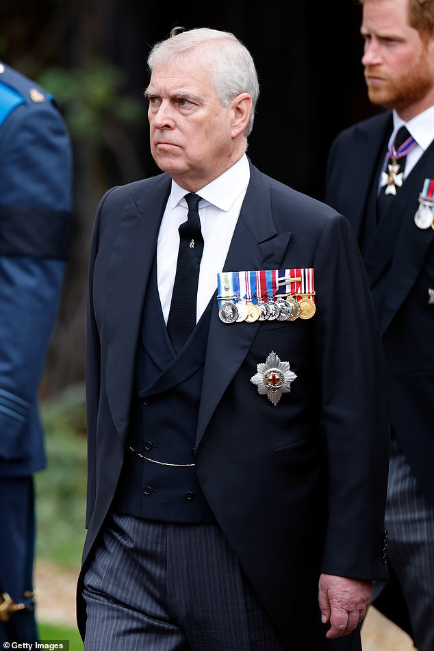 Andrew's Met Police protection officers 'told to guard Jeffrey Epstein ...