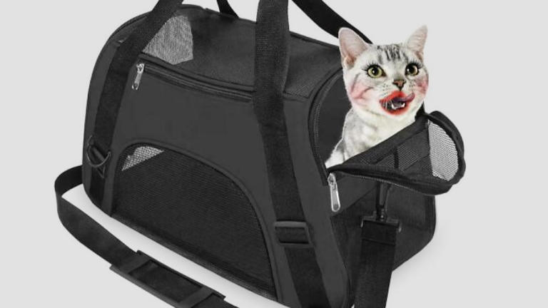38 bizarre Photoshop mistakes that somehow made it online