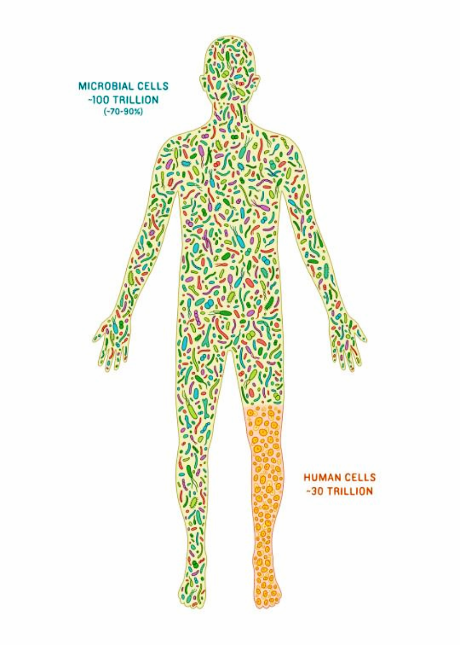 15 strange facts about the human body that sound like pure science fiction